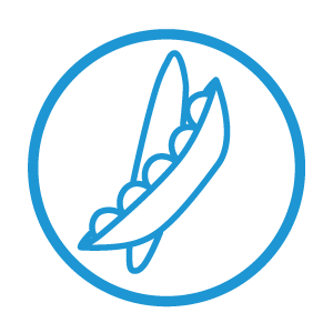 Plant-Based Protein & Keto Shakes, Drinks & Smoothies | Koia